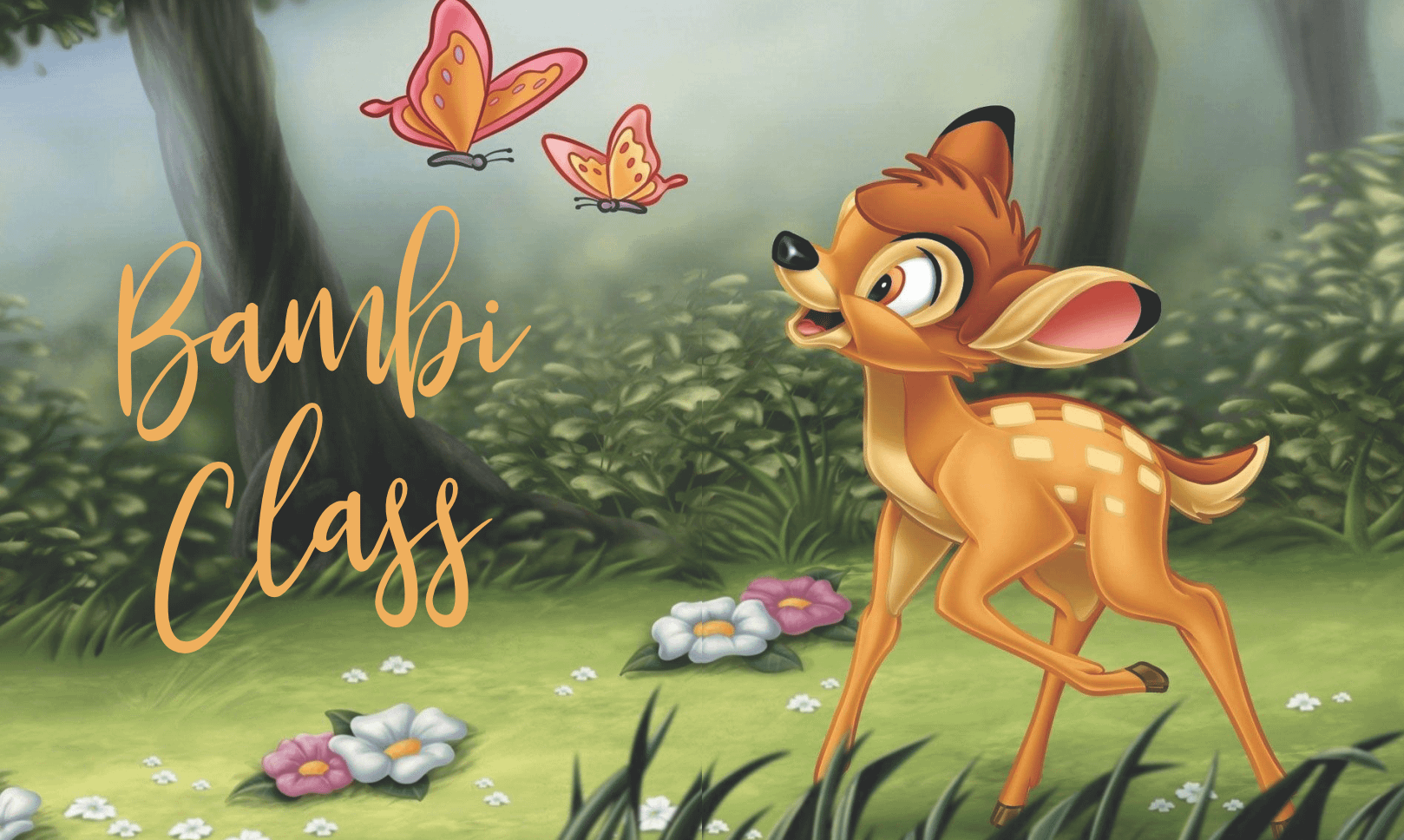 Little Woods Nursery School – school worth learning for